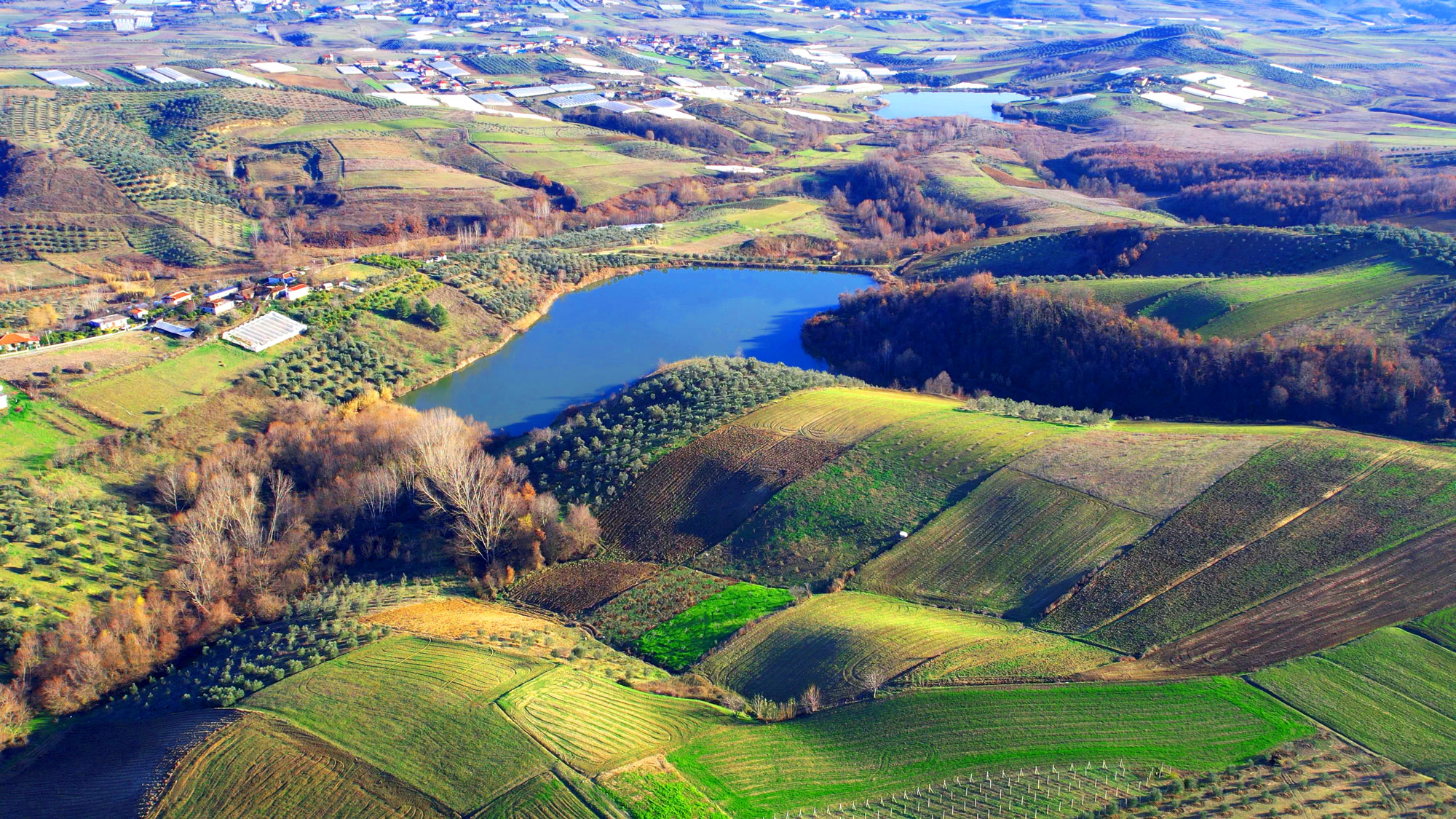 Home - Lushnja Explore